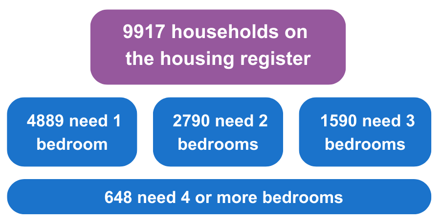 Key Housing Facts - NewcastleHomes.org.uk