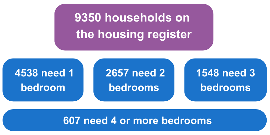 Key Housing Facts - NewcastleHomes.org.uk